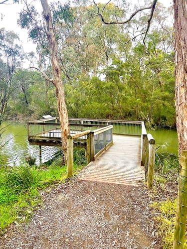 Best Hikes and Trails in Blackburn Lake Sanctuary | AllTrails