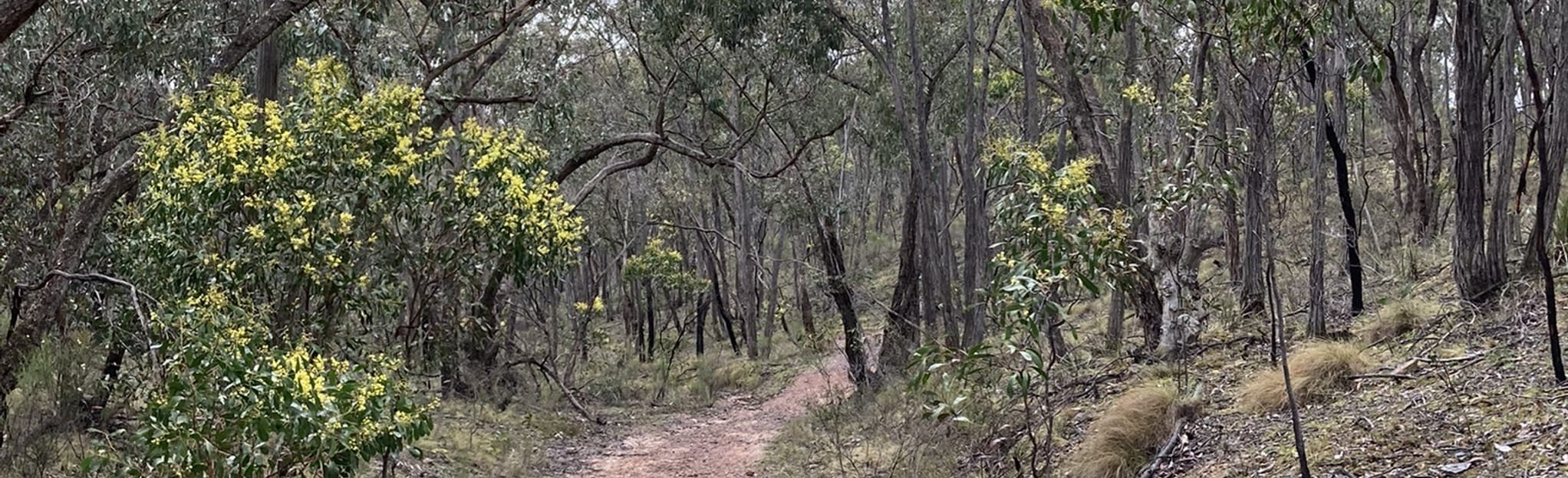 Dry Diggins Track Cycle via Vaughan Springs, Victoria, Australia - 4 ...