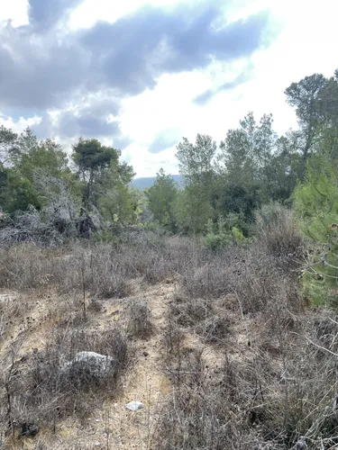Best Hikes and Trails in Eshtaol Forest | AllTrails