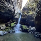 Boulder Cave Trail, Washington - 192 Reviews, Map | AllTrails