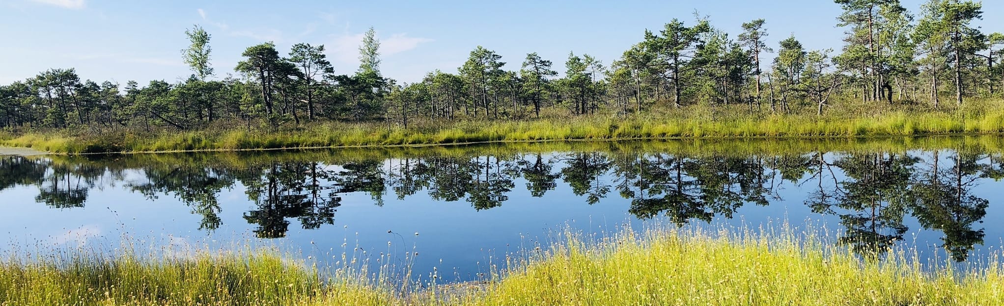 Great Kemeri Bog Boardwalk, Riga, Latvia - 106 Reviews, Map | AllTrails