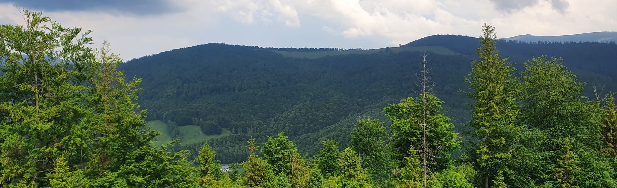 Brenna - Grabowa, Śląskie, Poland - 4 Reviews, Map | AllTrails