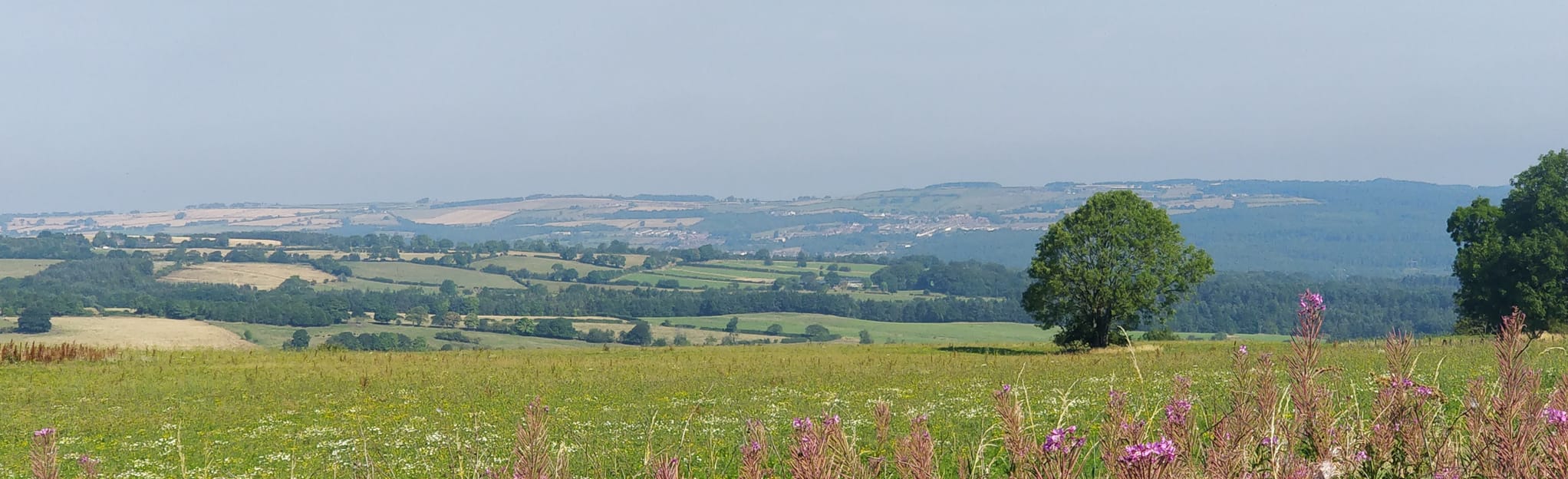 Catchgate and Pont Burn River, County Durham, England - 15 Reviews, Map ...
