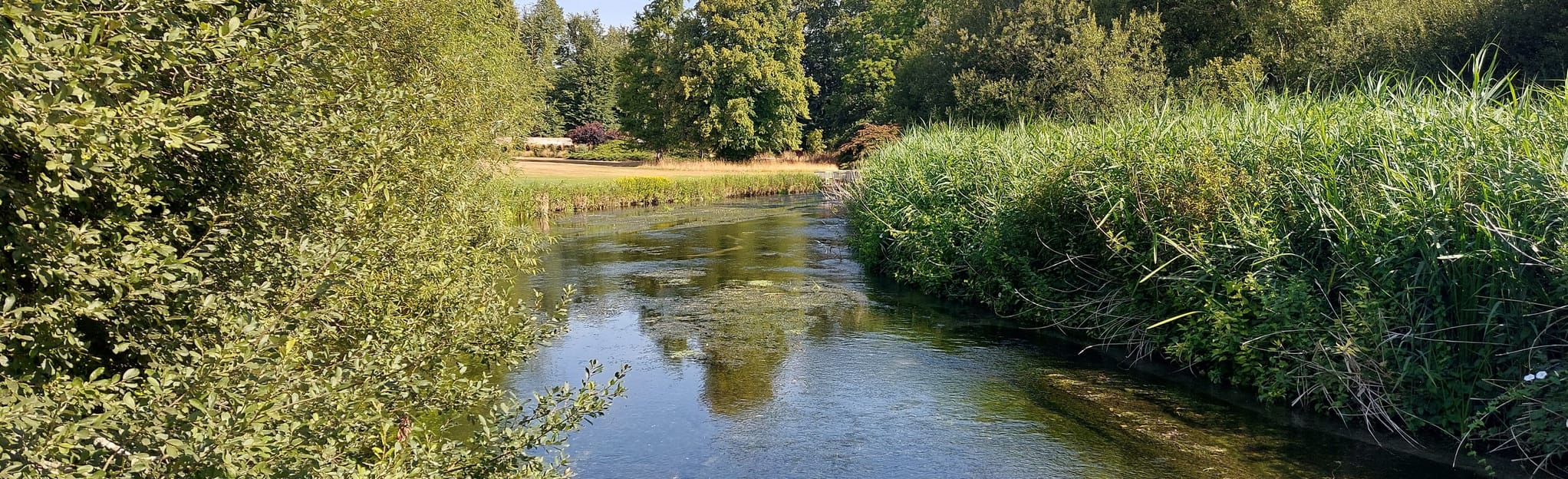 Middleton, Longparish and East Aston Circular: 25 Reviews, Map ...
