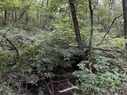 Best Hikes and Trails in Stephens State Forest - Woodburn Unit | AllTrails