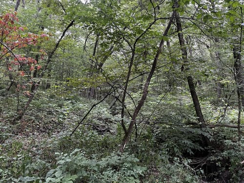 Best Hikes and Trails in Stephens State Forest - Woodburn Unit | AllTrails