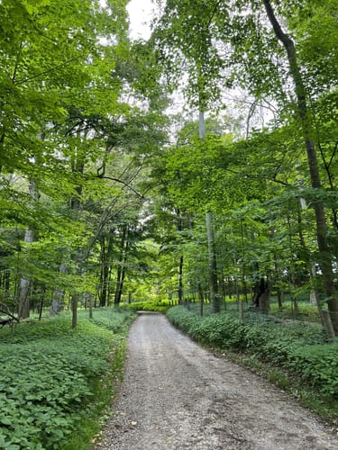 Best Hikes and Trails in John E. Pearce Provincial Park | AllTrails