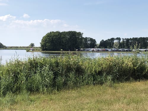 2023 Best 10 Wild Flowers Trails in Nieuw Land National Park | AllTrails