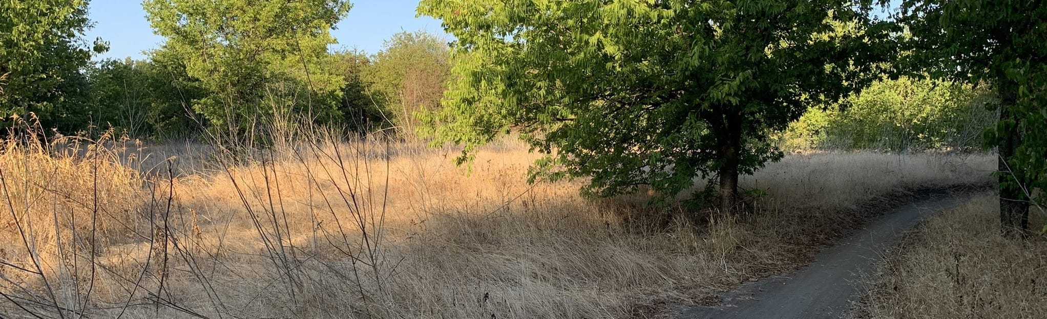 Trinity River, Prairie Loop and South Loop | Map, Guide - Texas | AllTrails