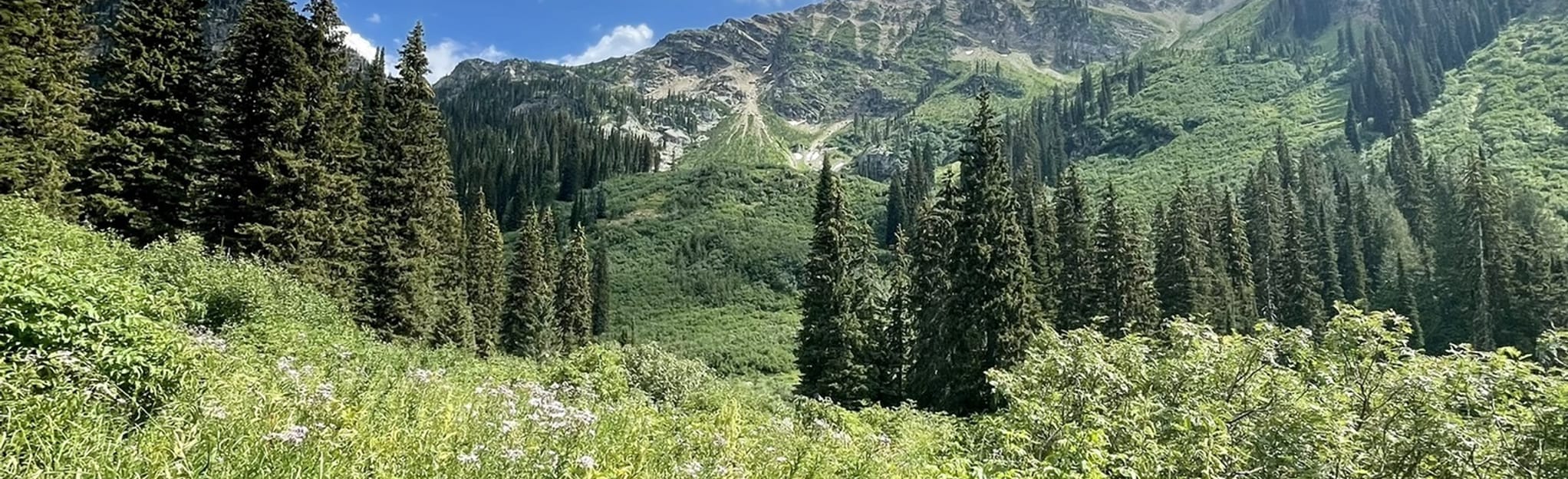 Pinnacle Lake Trail: 75 Reviews, Map - British Columbia, Canada | AllTrails