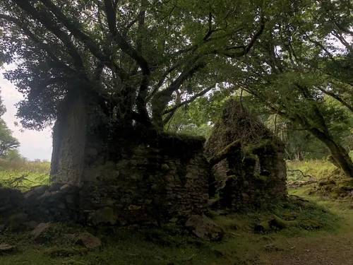 Best Hikes and Trails in Tahilla | AllTrails
