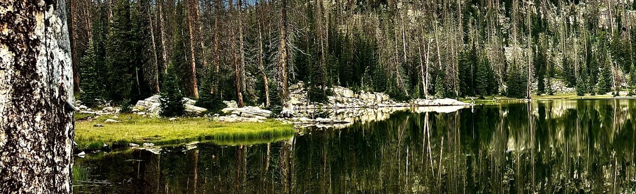 Fire Lake via Crystal Lake Trailhead: 45 Reviews, Map - Utah | AllTrails