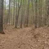 Pudding Pond Loop, New Hampshire - 292 Reviews, Map | AllTrails