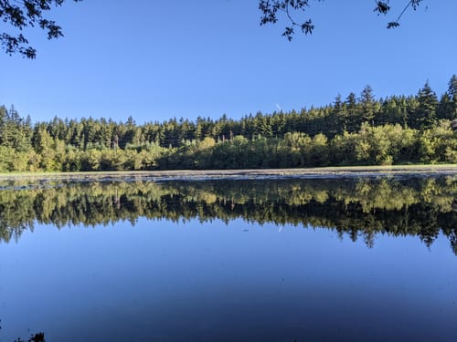 Best 10 Hikes and Trails in Tiger Mountain State Forest | AllTrails