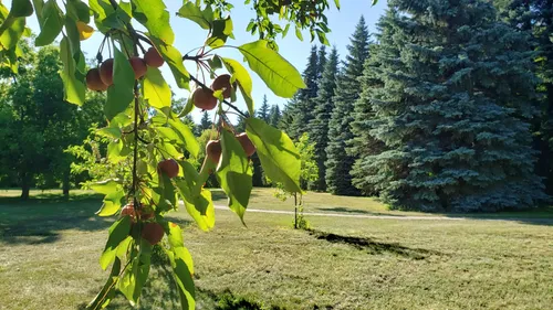 Best Hikes and Trails in Larimore Dam Recreation Area | AllTrails