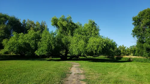 Best Hikes and Trails in Larimore Dam Recreation Area | AllTrails
