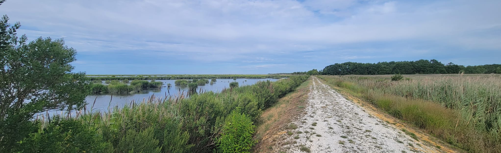 The Maurice River Estuary Trail: 41 Reviews, Map - New Jersey | AllTrails