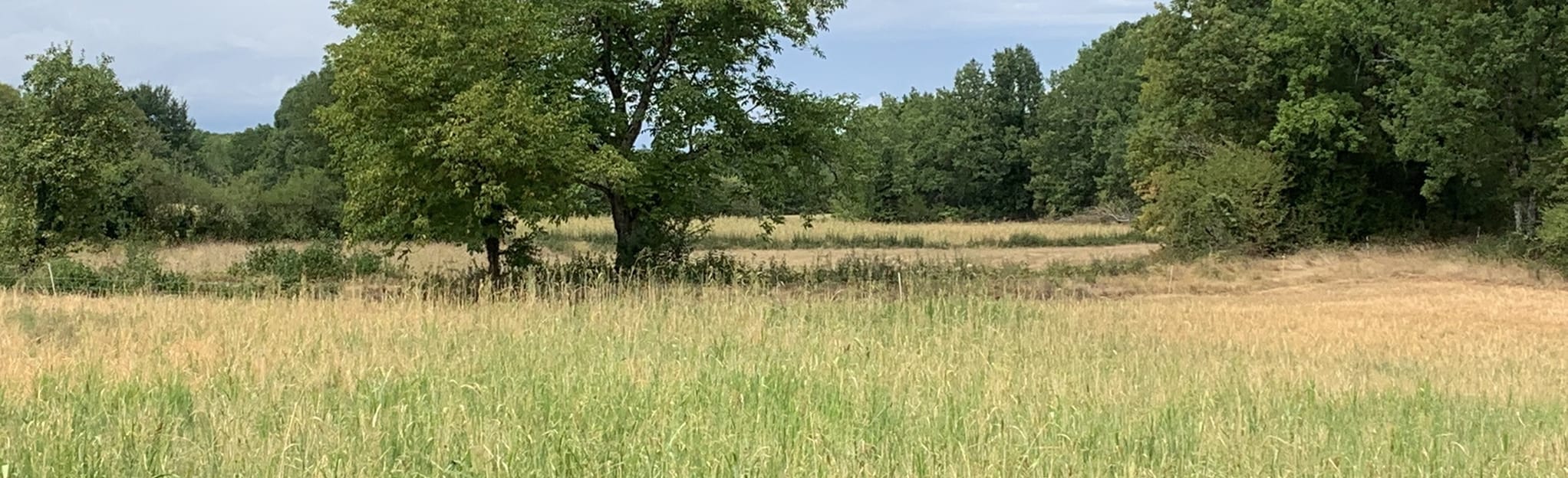 GR®65 Segment 15: From Limogne-en-Quercy to Mas-de-Vers: 42 Reviews ...