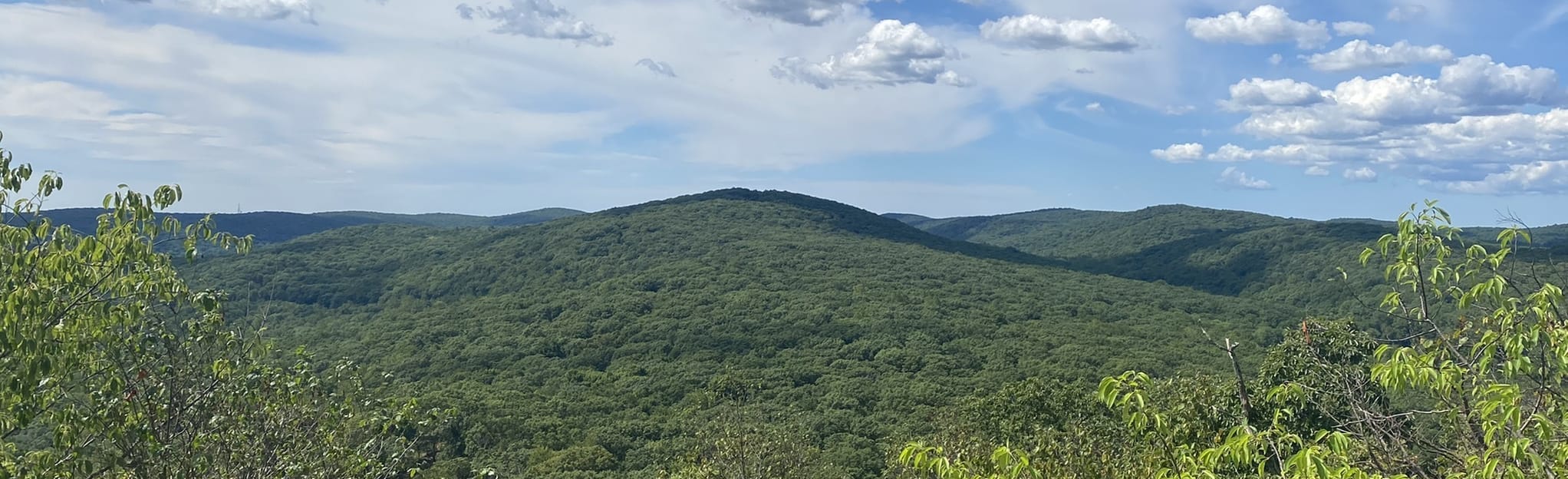 AllTrails | Torrey Memorial via Long Path: 118 Reviews, Map - New York