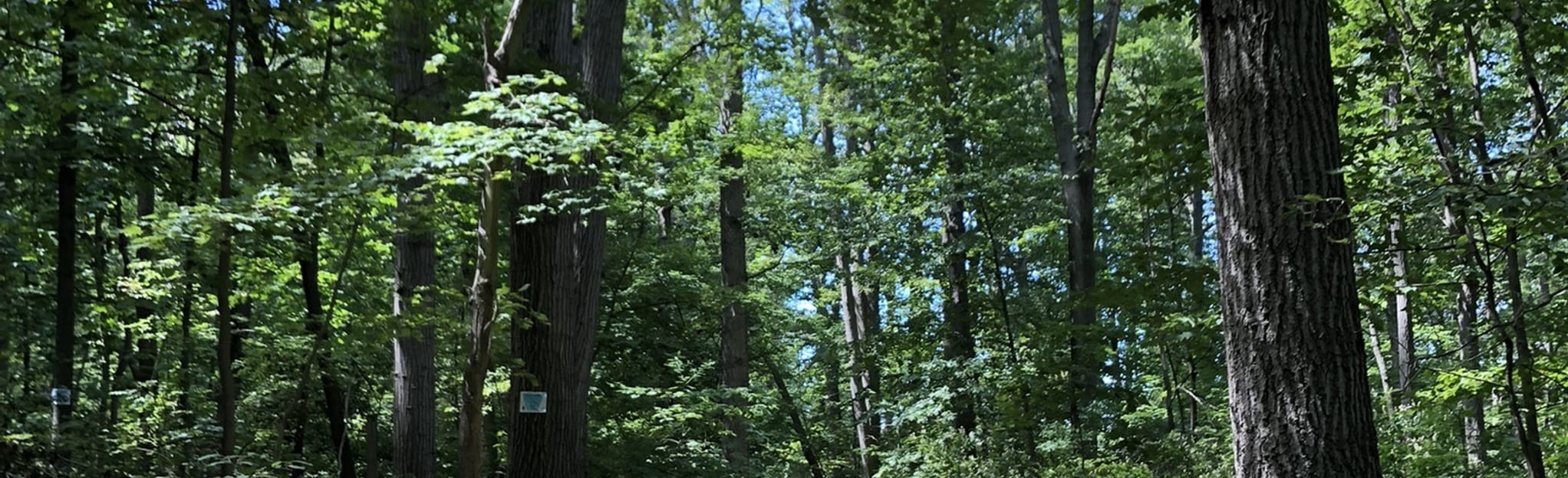 Laurel Ridge and Grand Tour Loop: 301 Reviews, Map - New Jersey | AllTrails