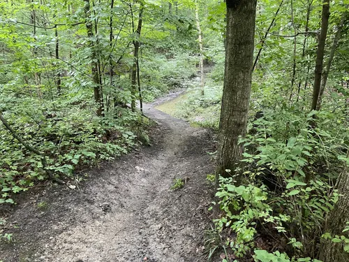 10 Best Trails and Hikes in Fort Wayne | AllTrails