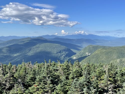 Best 10 Trails in Little Concord Pond State Park | AllTrails