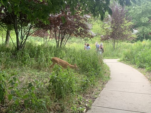 Best Hikes and Trails in West Ridge Nature Preserve | AllTrails