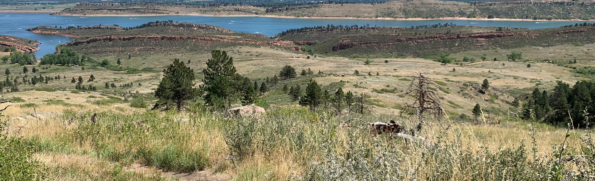 Arthur's Rock, Timber Trail, Well Gulch Trail and Overlook Trail, 1 986 ...