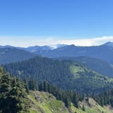 Evergreen Lookout Trail, Washington - 211 Reviews, Map | AllTrails