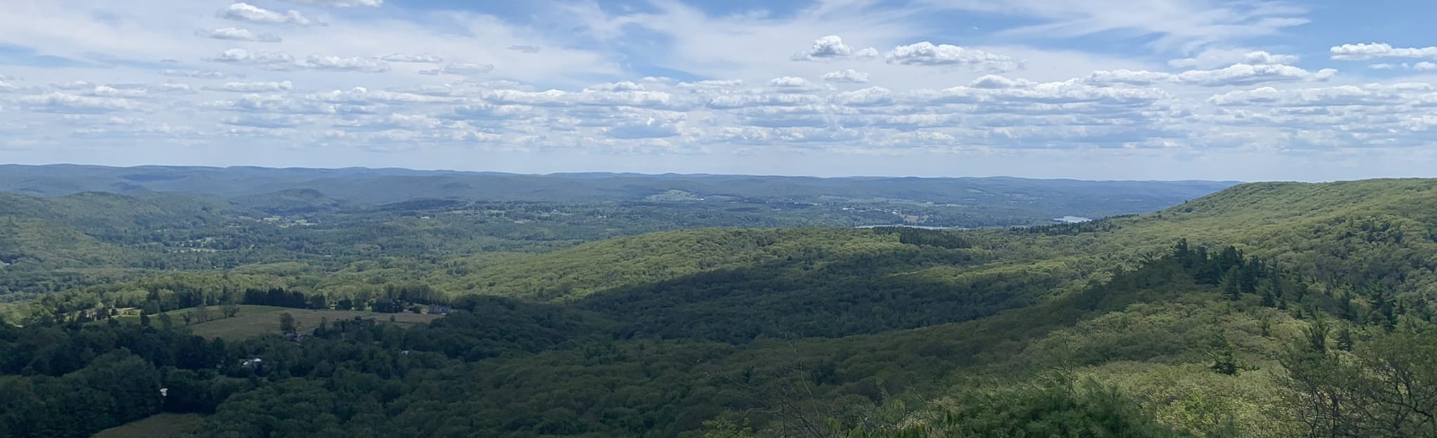 Lion's Head Peak Trail: 400 Reviews, Map - Connecticut | AllTrails