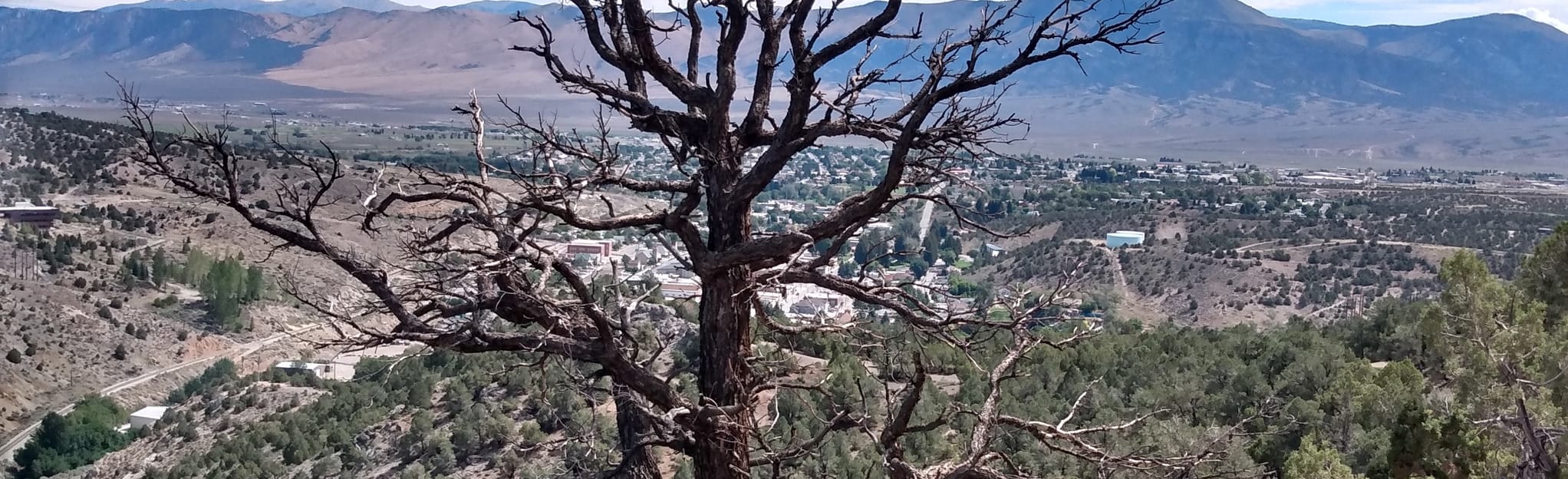 Farnsworth-Ely Loop: 52 Reviews, 17 Photos, Map - Nevada | AllTrails