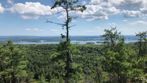 2023 Best Forest Trails in Heaven's Gate Recreational Trail System ...