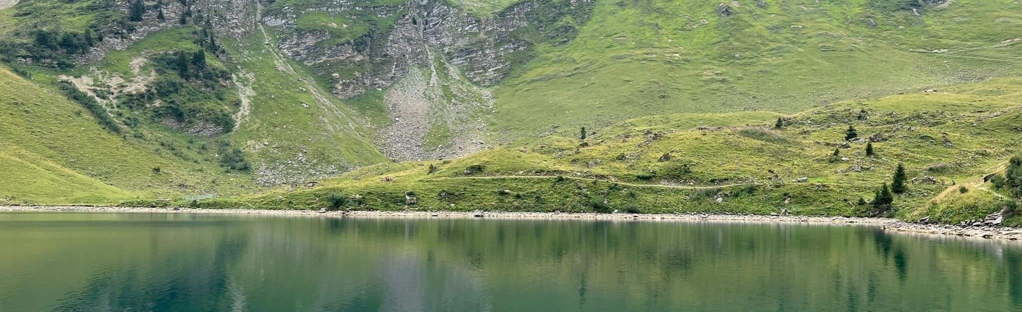 Col des Mosses - Lake Lioson | Map, Guide - Vaud, Switzerland | AllTrails