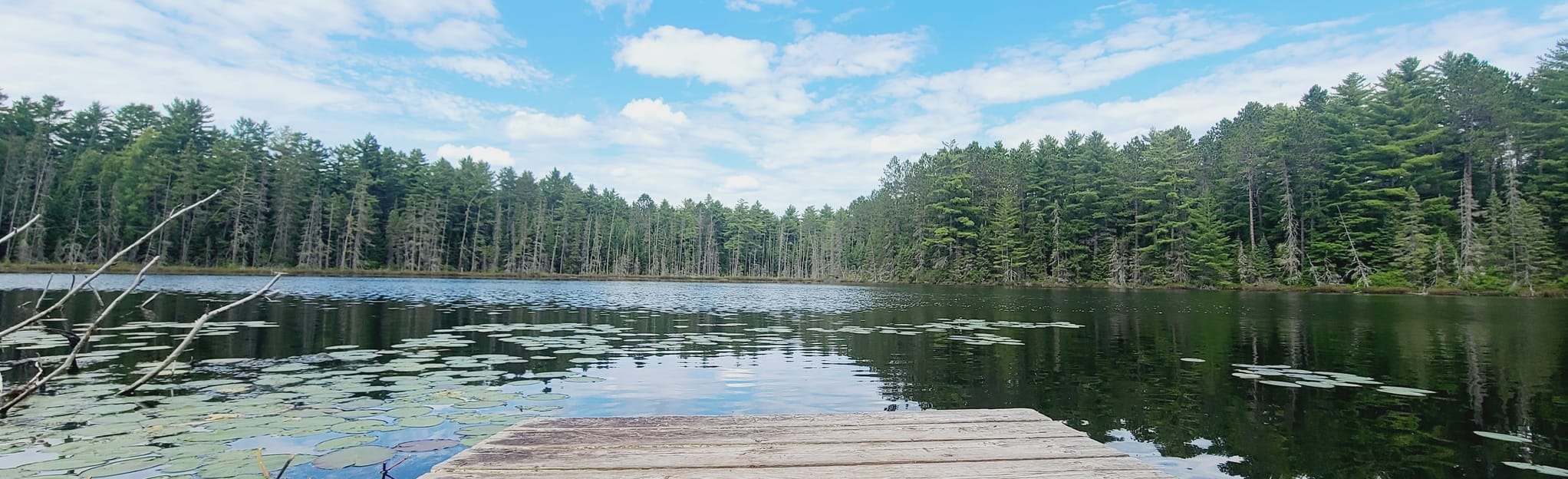 Bat Lake Trail: 965 foto's - Ontario, Canada | AllTrails