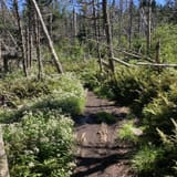 Great Range Loop Trail, New York - 349 Reviews, Map | AllTrails