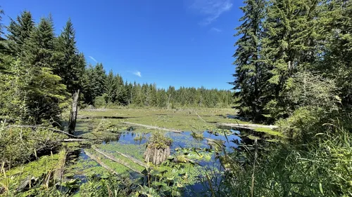 Best Lake Trails in Redmond | AllTrails