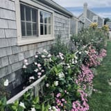 Sconset Bluff Path, Massachusetts - 315 Reviews, Map | AllTrails