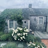 Sconset Bluff Path, Massachusetts - 315 Reviews, Map | AllTrails