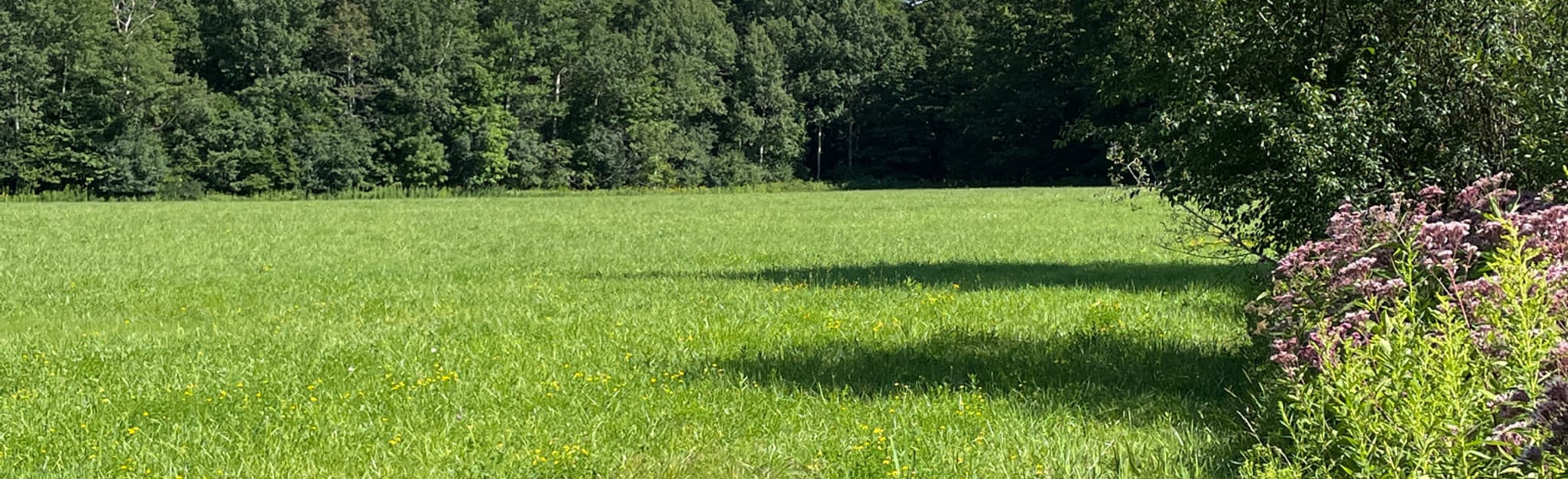 Nelson Swamp Nature Trail : 40 Photos - État de New York | Randonnée ...