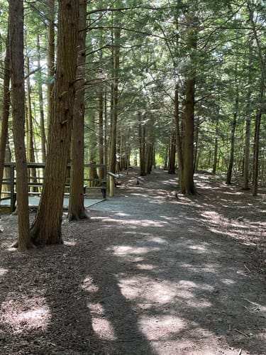 Best Hikes and Trails in Nelson Swamp Unique Area | AllTrails