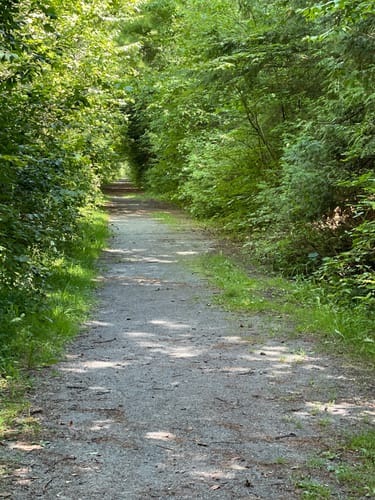 Best Hikes and Trails in Nelson Swamp Unique Area | AllTrails