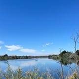 Bateman Island Loop, Washington - 166 Reviews, Map | AllTrails