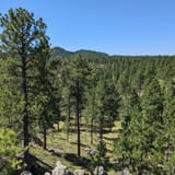 Black Hills Centennial Trail, South Dakota - 111 Reviews, Map | AllTrails