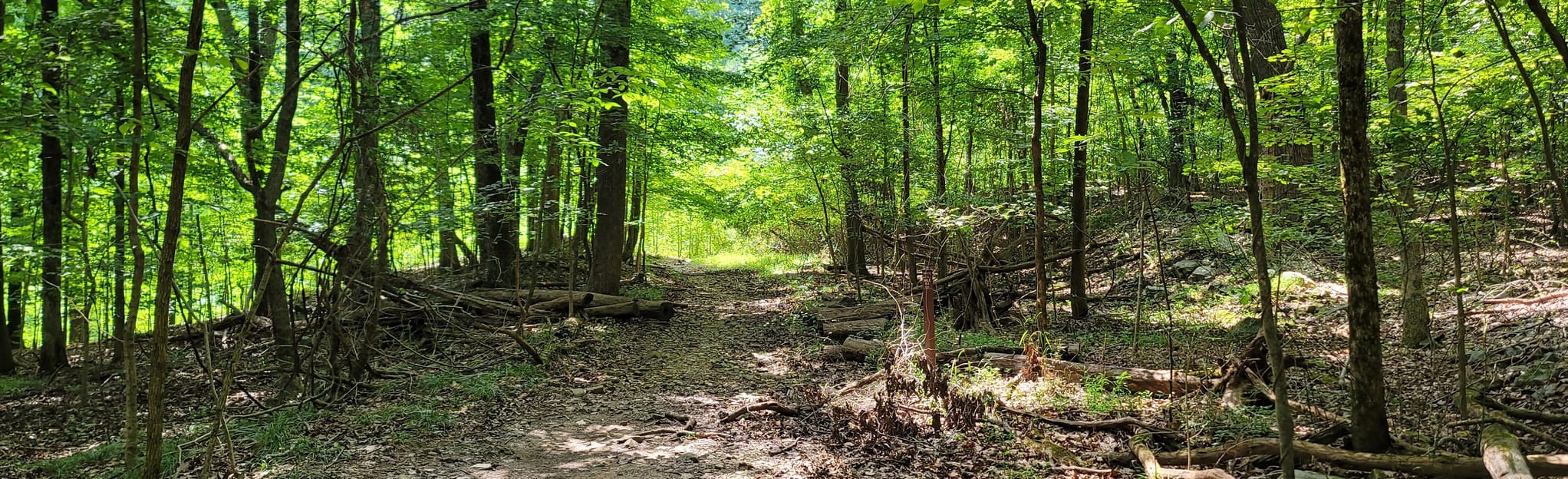 Arrowhead Trail, Alabama - 460 Reviews, Map | AllTrails