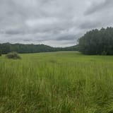 Farmdale Recreation Area Trail, Illinois - 819 Reviews, Map | AllTrails