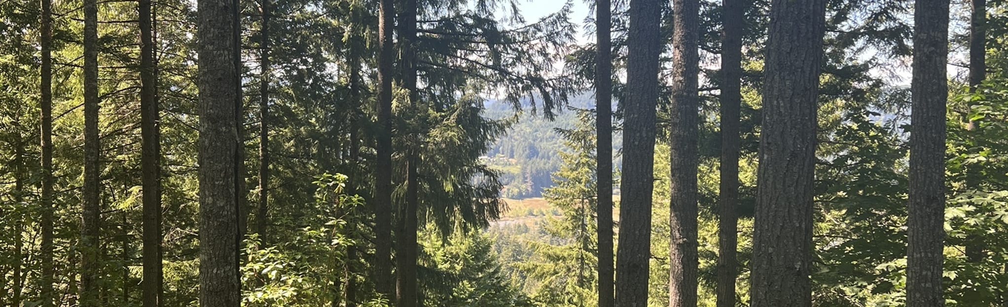 Cold Case and Flag Loop: 100 Reviews, Map - Washington | AllTrails