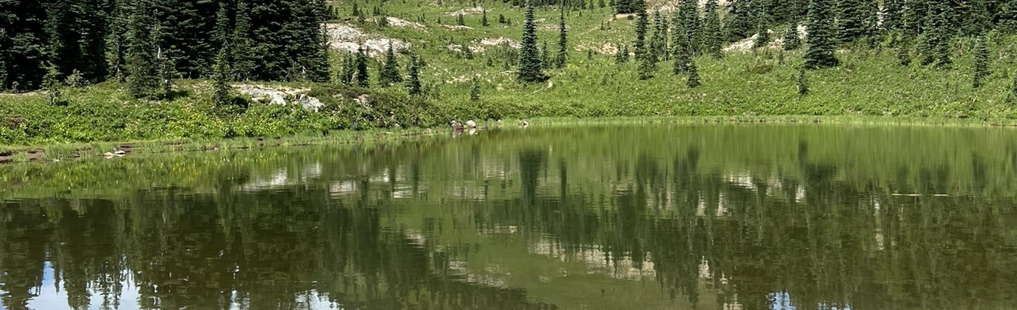 Naches Peak Loop Trail: 3239 Reviews, Map - Washington | AllTrails