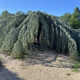 Jones Beach Bikeway, New York - 1,318 Reviews, Map | AllTrails