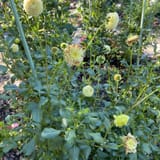 Jones Beach Bikeway, New York - 1,318 Reviews, Map | AllTrails