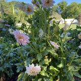 Jones Beach Bikeway, New York - 1,318 Reviews, Map | AllTrails